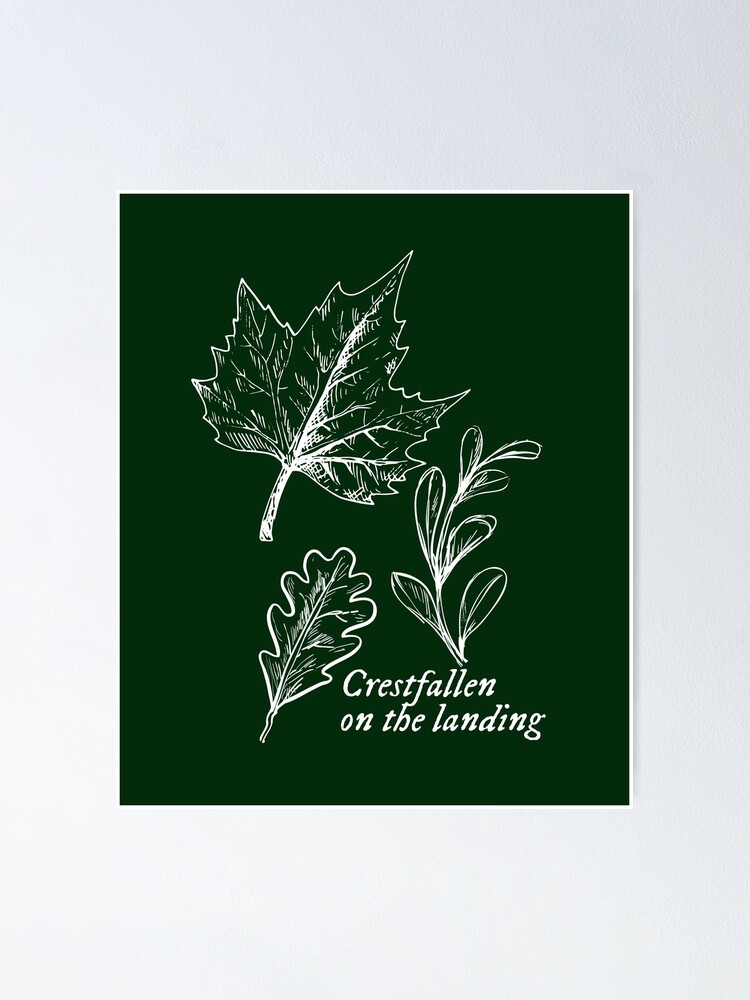 "crestfallen on the landing (W)" Poster for Sale by DinoSour2 | Redbubble