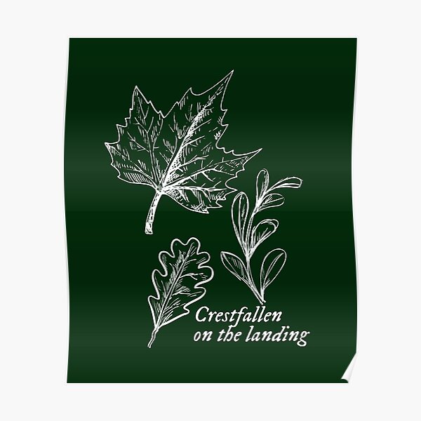 "crestfallen on the landing (W)" Poster for Sale by DinoSour2 | Redbubble