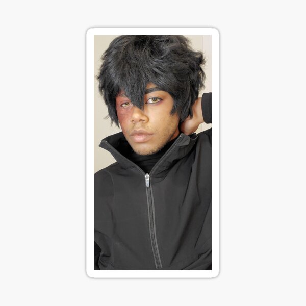 "Prince Zuko" Sticker by Insomniacdjinn | Redbubble