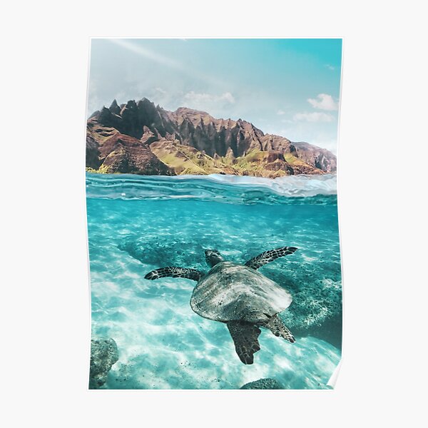 "Sea Turtle" Poster for Sale by galdesign | Redbubble