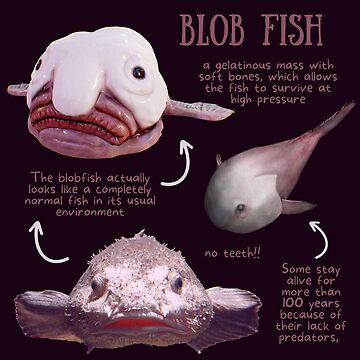 "Blob Fish Fun Fact" Greeting Card for Sale by KyleNesas | Redbubble