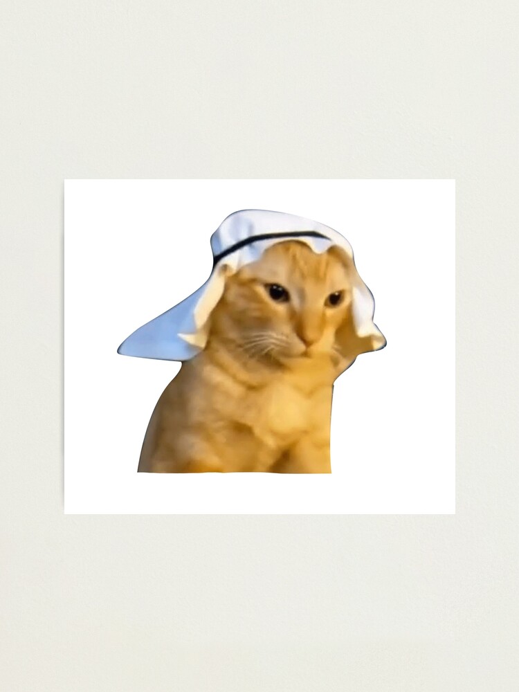 "Arabian cat meme" Photographic Print for Sale by Kawaii2cute | Redbubble