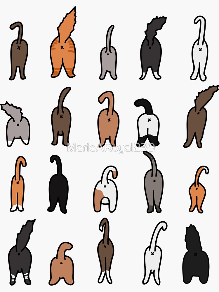 "Cat Butt" Sticker for Sale by MarieARoyal239 | Redbubble