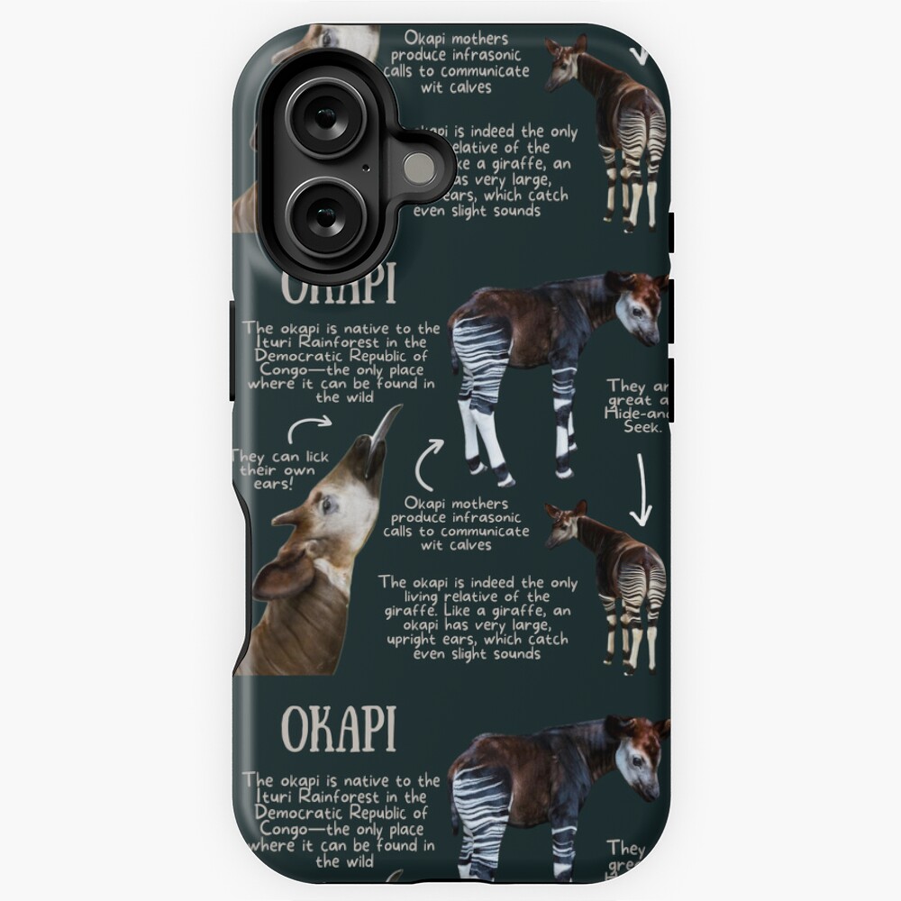 "Okapi Fun Facts" Photographic Print for Sale by KyleNesas | Redbubble