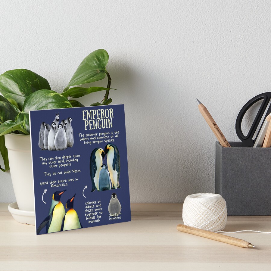 "Emperor Penguin Fun Facts" Art Board Print by KyleNesas | Redbubble