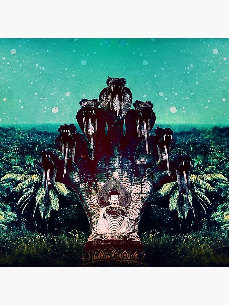 "new album art" Poster for Sale by todddavid | Redbubble