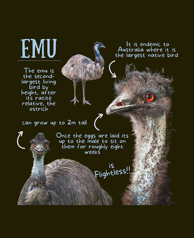 "Emu Fun Facts" iPad Case & Skin for Sale by KyleNesas | Redbubble