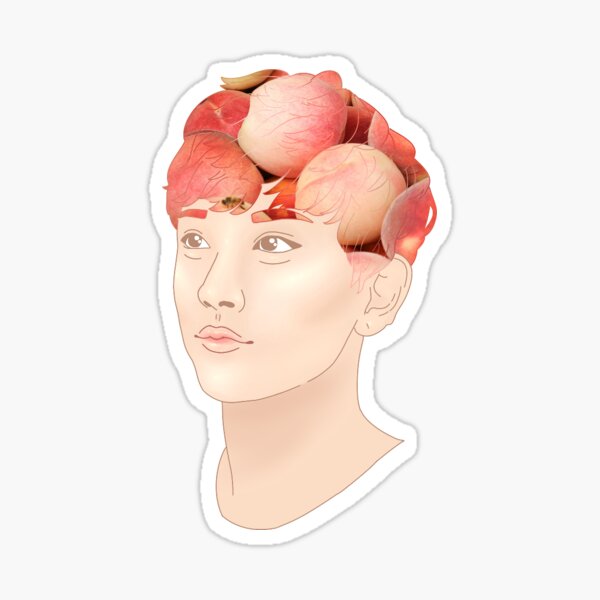 "Joshua Hong Sticker" Sticker for Sale by llemurs | Redbubble