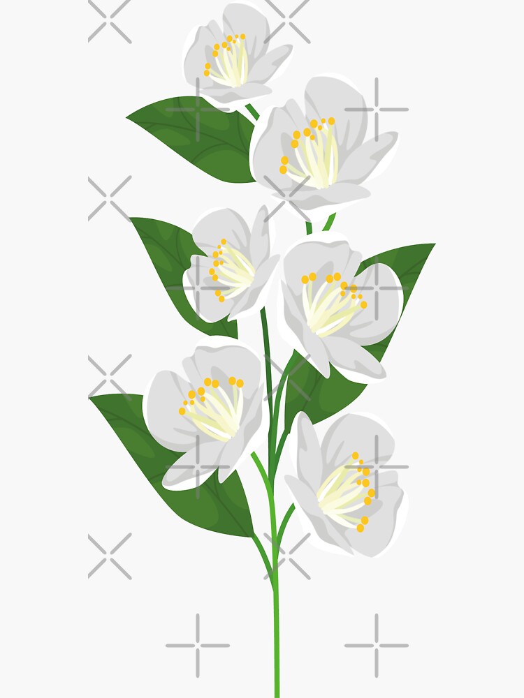 "Sampaguita White Flower Cute Beautiful Aesthetic Philippine" Sticker ...