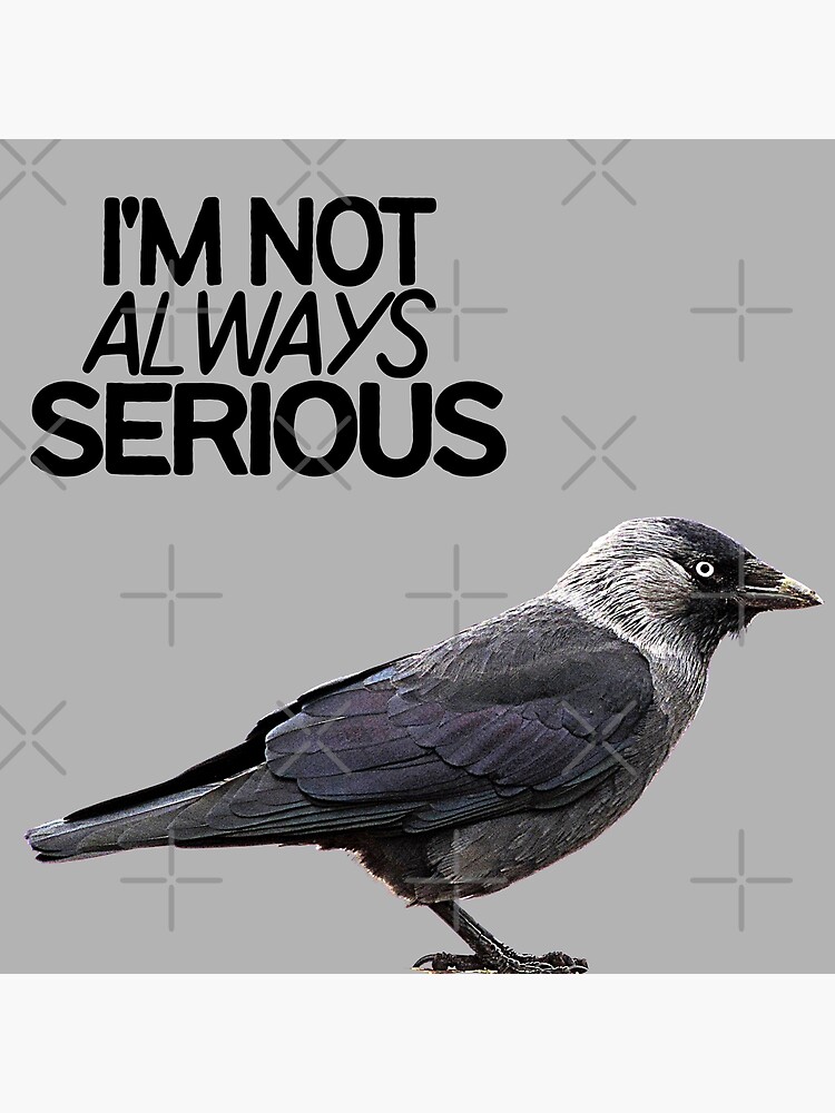 "Serious Bird" Poster for Sale by EffSharp | Redbubble