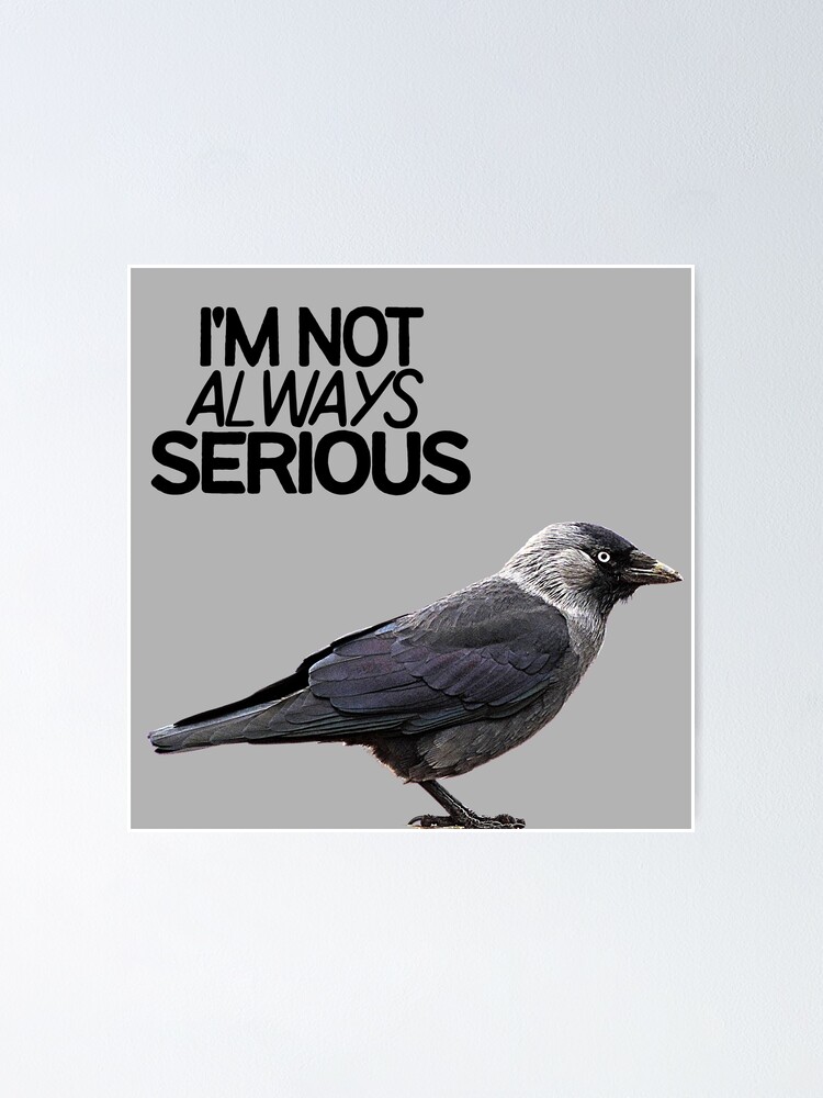 "Serious Bird" Poster for Sale by EffSharp | Redbubble
