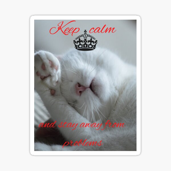 "keep calm and stay away from problems " Sticker for Sale by ...
