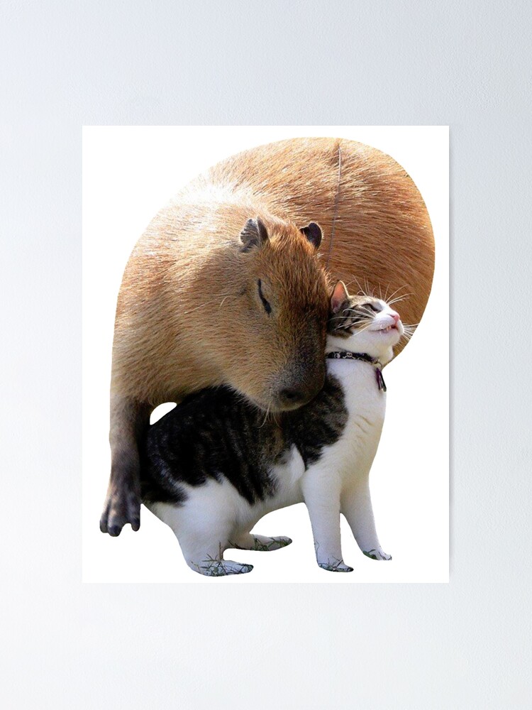 "Capybara & Cat" Poster for Sale by CapyBoii | Redbubble