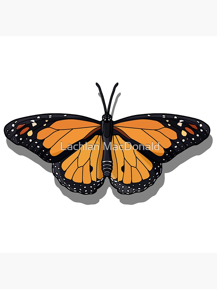 "ms monarch butterfly" Poster for Sale by lachiD13 | Redbubble