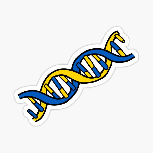 "DNA Double Helix Ukraine" Sticker by Anastasia-4-art | Redbubble