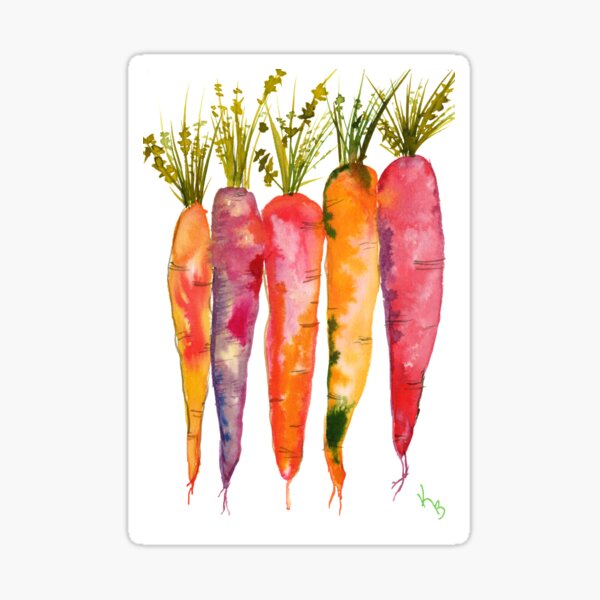 "Fresh Carrots" Sticker by KerriBeeArt | Redbubble