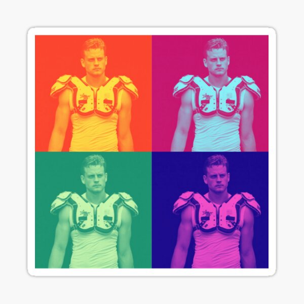 "Joe Brrr Colored " Sticker for Sale by Mikeymaison | Redbubble