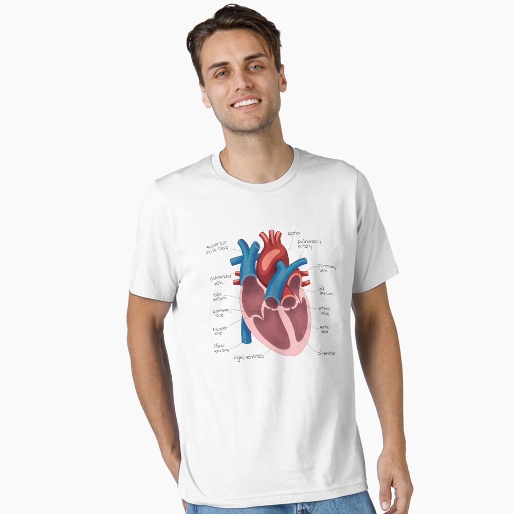 "Heart Diagram Drawing" Sticker for Sale by neatchicdesigns | Redbubble