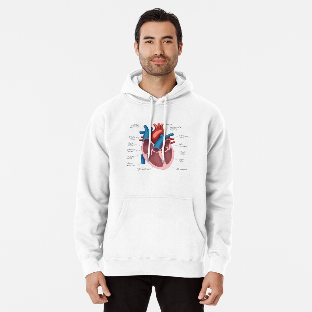 "Heart Diagram Drawing" Sticker for Sale by neatchicdesigns | Redbubble