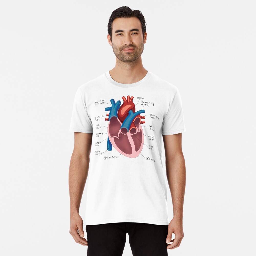 "Heart Diagram Drawing" Sticker for Sale by neatchicdesigns | Redbubble