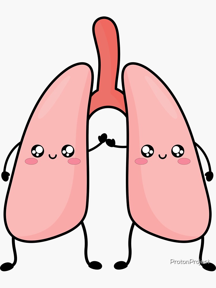 "Kawaii Medical Organs - Cute Lungs" Sticker by ProtonProject | Redbubble