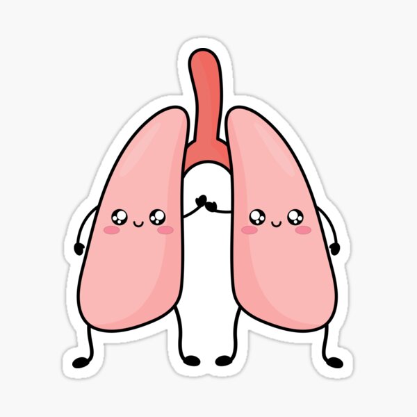 "Kawaii Medical Organs - Cute Lungs" Sticker by ProtonProject | Redbubble