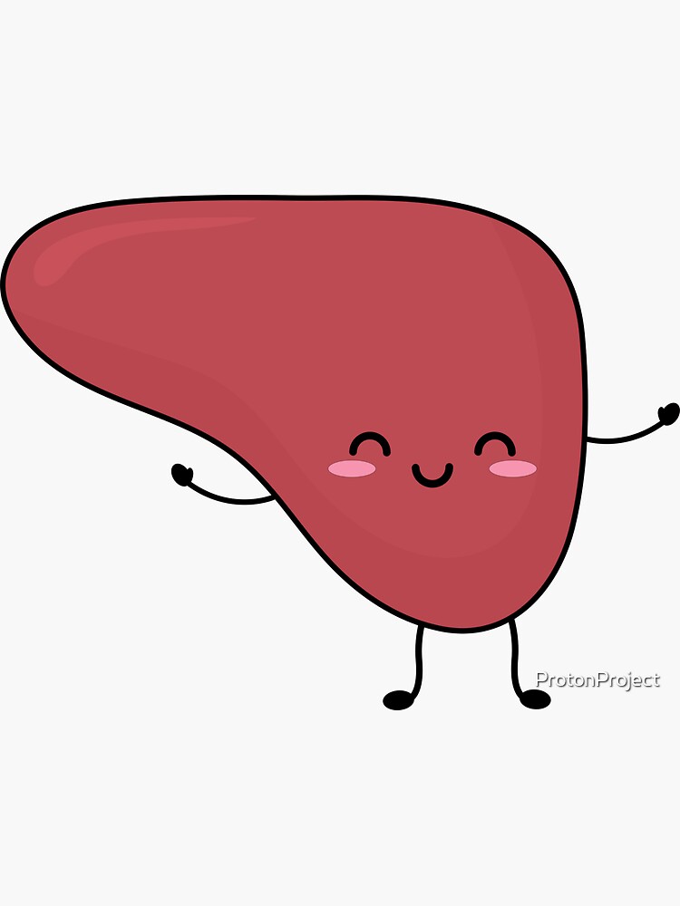 "Kawaii Medical Organs - Cute Liver" Sticker for Sale by ProtonProject ...
