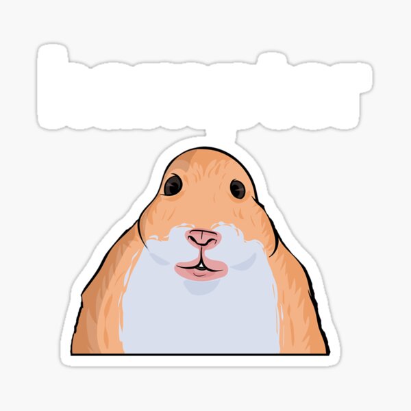 "Hampter Funny Hamster Dank Meme" Sticker by shortfom | Redbubble