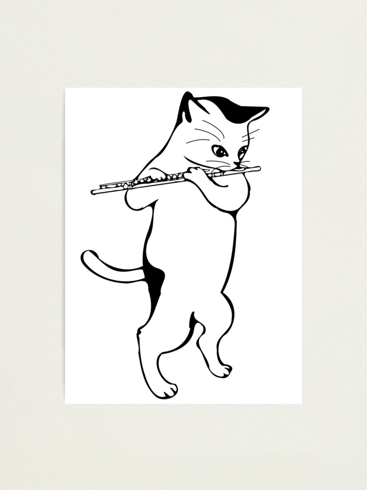 Lámina fotográfica «Lindo gato tocando los instrumentos musicales de ...