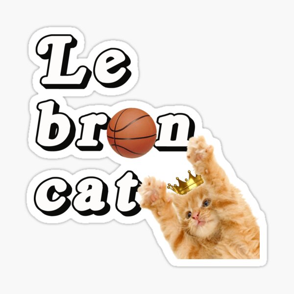 "LEBRON-CAT BASKETBALL" Sticker by AlineFerraz | Redbubble