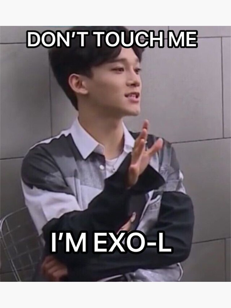 "exo chen meme " Sticker for Sale by kpriyaArts | Redbubble