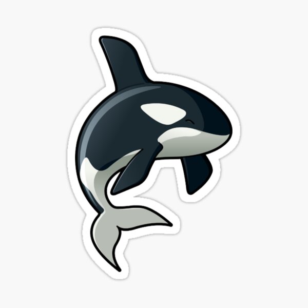 "Super Cute Orca Drawing Illustration" Sticker for Sale by ...