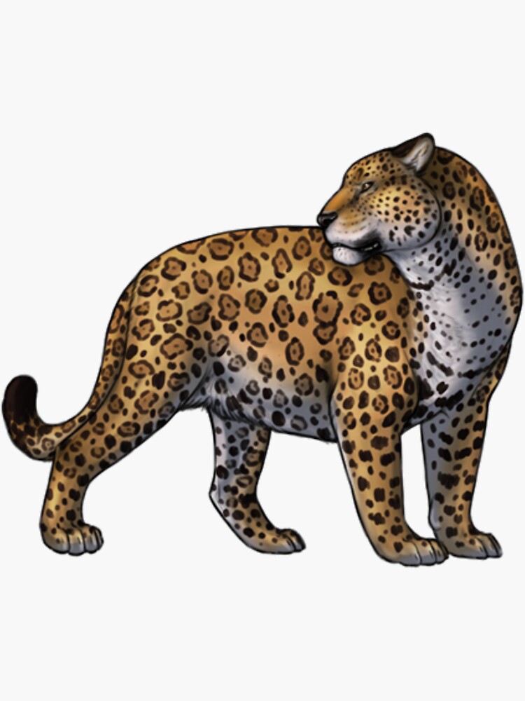 "Jaguar Art Sticker" Sticker for Sale by GalinStickers | Redbubble