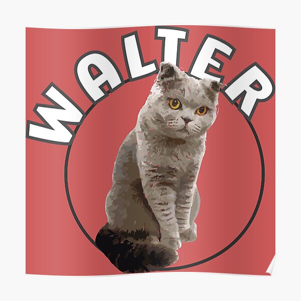 "Walter The Cat" Poster for Sale by StarWheels | Redbubble