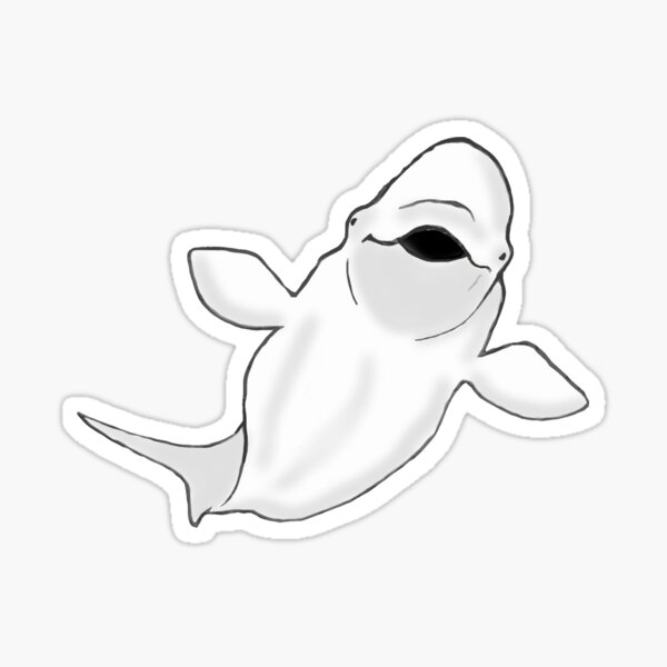 "Curious beluga whale" Sticker by paw-sci | Redbubble