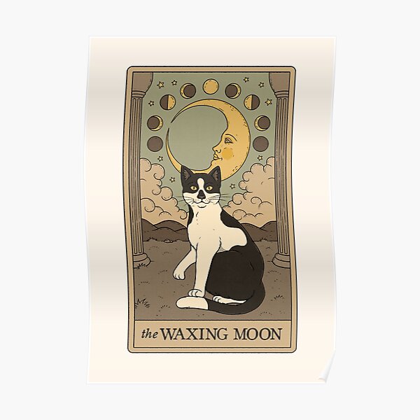"The Waxing Moon Cat" Poster for Sale by thiagocorream | Redbubble