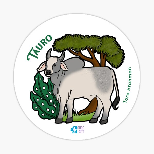 "Costa Rican zodiac Taurus (Spanish version)" Sticker by aurasanchez ...