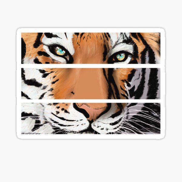 "Tiger tiger eyes" Sticker for Sale by BossSaperz | Redbubble