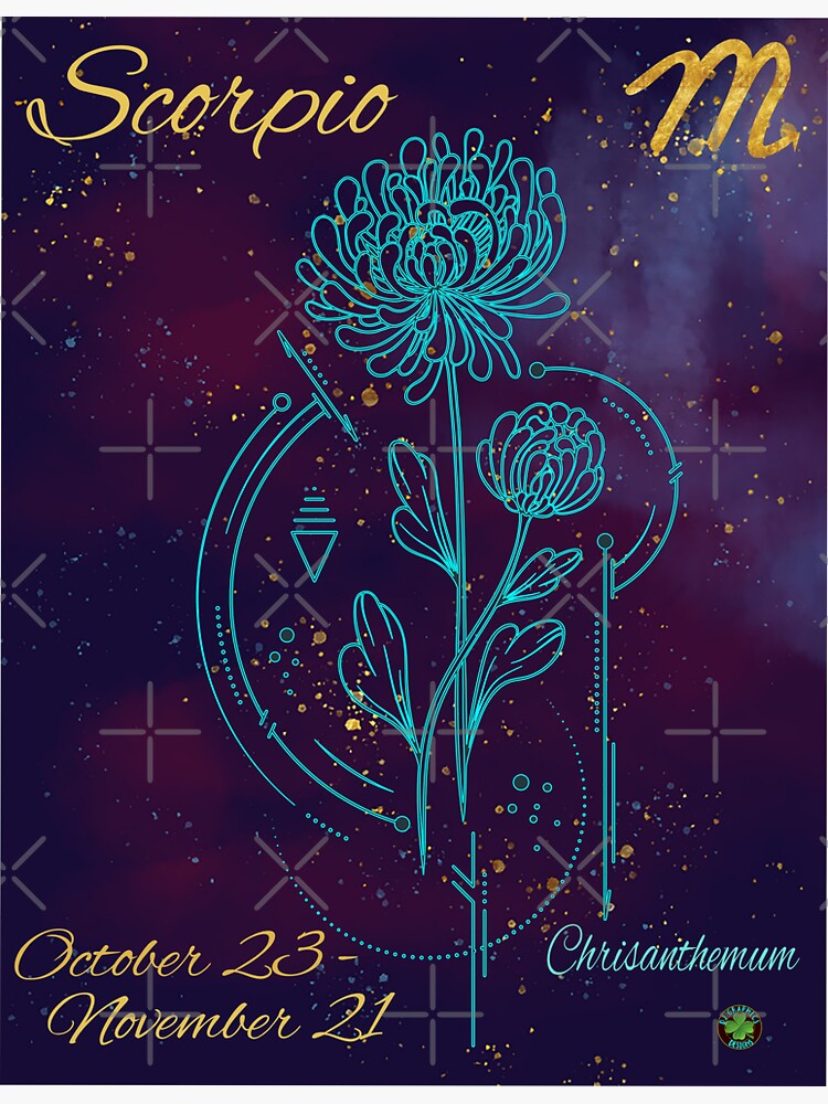 "Scorpio Zodiac November Birth Month Flower Chrysanthemum Night Sky ...