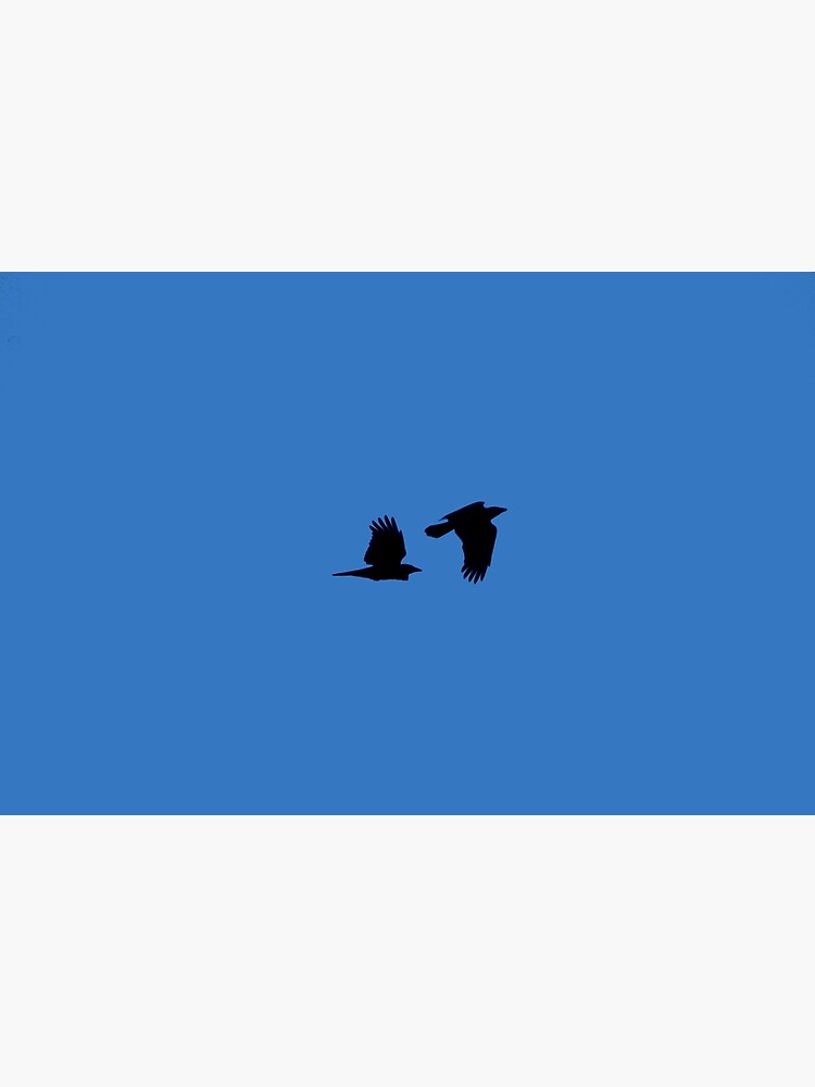 "Two Ravens Flying Blue Sky" Poster for Sale by oknoki | Redbubble