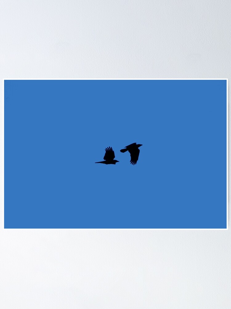 "Two Ravens Flying Blue Sky" Poster for Sale by oknoki | Redbubble