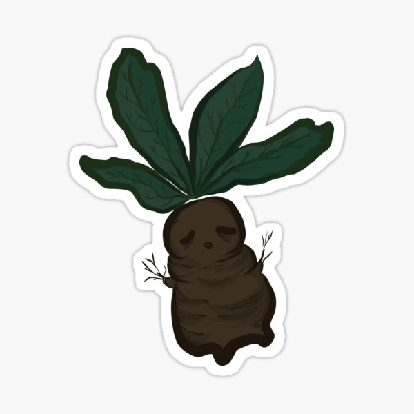 "Mandrake Plant Baby" Sticker by Casspayneart | Redbubble