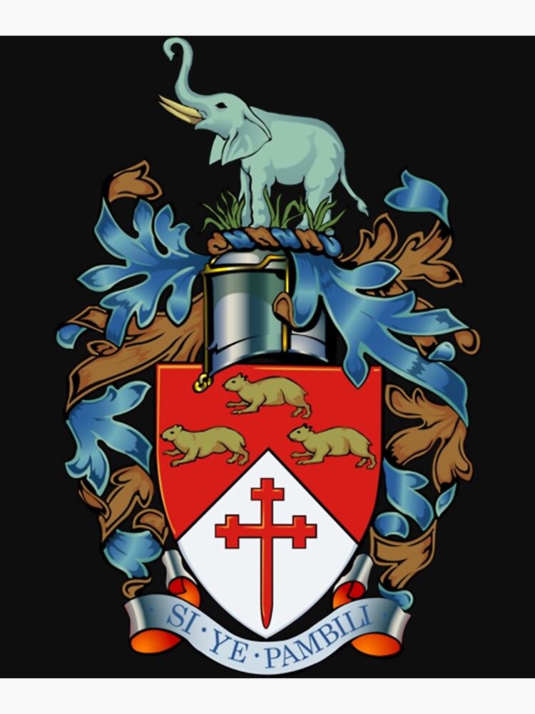 "Bulawayo Coat of Arms, Zimbabwe " Poster for Sale by AndDollss | Redbubble
