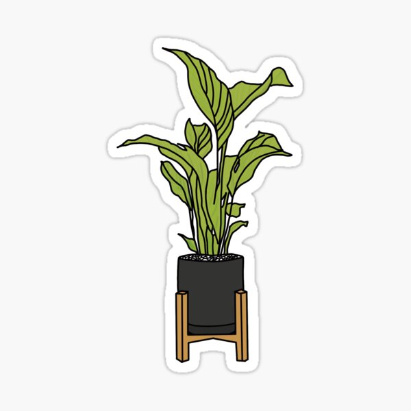 "Spathiphyllum" Sticker for Sale by shinitt | Redbubble