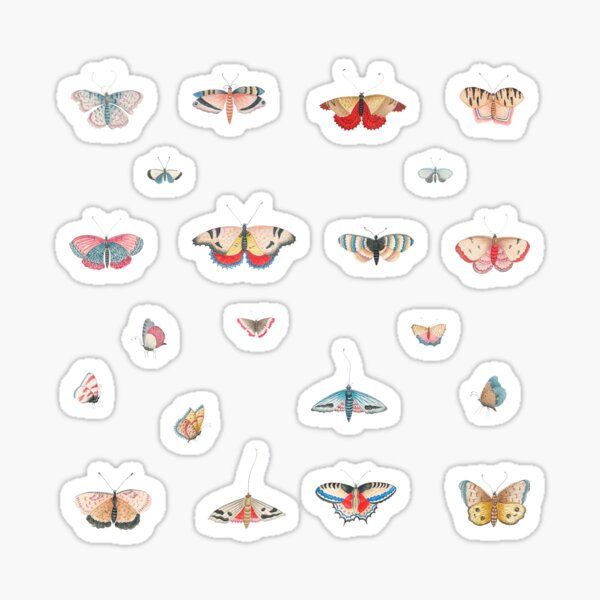 "Realistic Butterflies and moths - Sticker pack for Bullet Journals ...