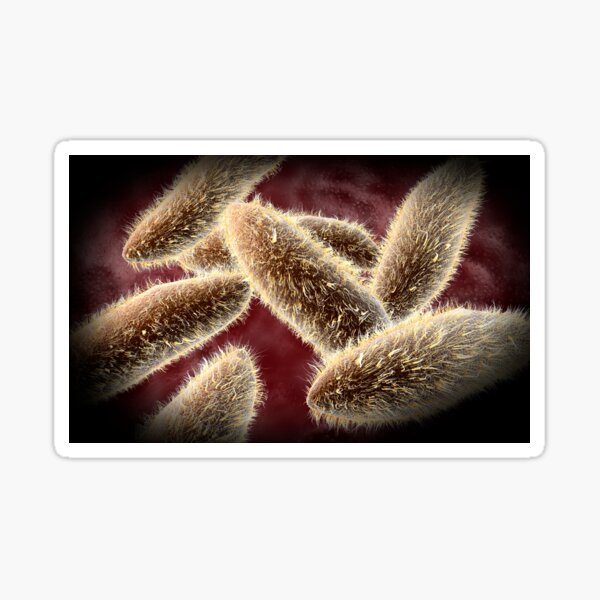 "Microscopic view of paramecium." Sticker for Sale by StocktrekImages ...