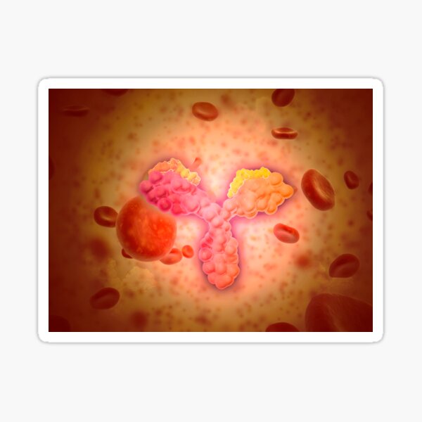"Microscopic view of human antibodies with red blood cells." Sticker ...