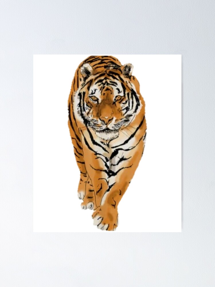 "Bengal Tiger " Poster by CarlyCox12 | Redbubble