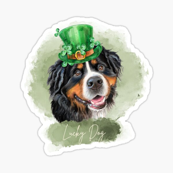 "Lucky Dog ,Bernese Mt. Dog " Sticker for Sale by LiloPaul | Redbubble