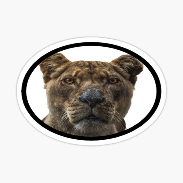 "weak animal" Sticker by Mario1960 | Redbubble